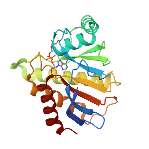 RCSB PDB - 9QYE: PARP9 Macro domain 1 in complex with ADPr