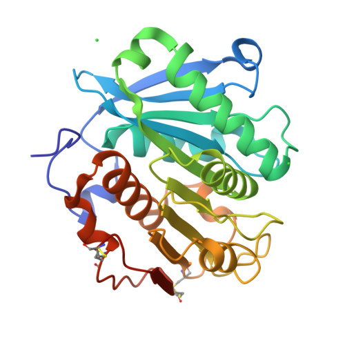 RCSB PDB - 9QYQ: Crystal structure of leaf branch compost cutinase ...