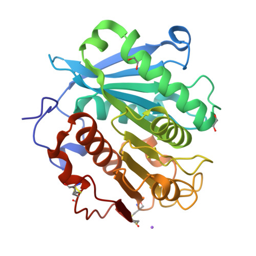 RCSB PDB - 9QYT: Crystal structure of leaf branch compost cutinase ...