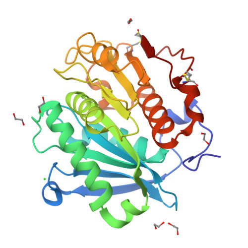 RCSB PDB - 9QYU: Crystal structure of leaf branch compost cutinase ...
