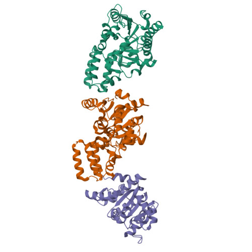 RCSB PDB - 9R0P: human FAM118B trimeric filament