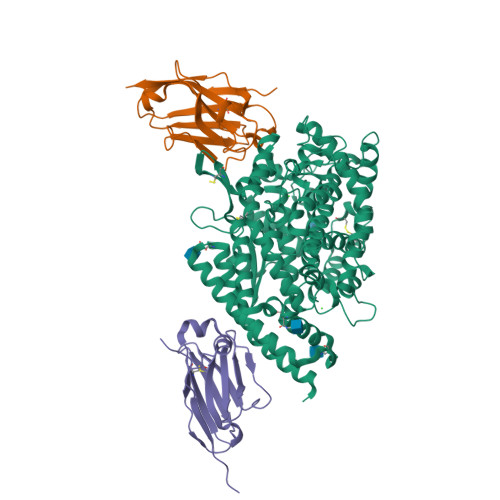 RCSB PDB - 9R19: Crystal structure of human ACE2 in complex with VHH ...