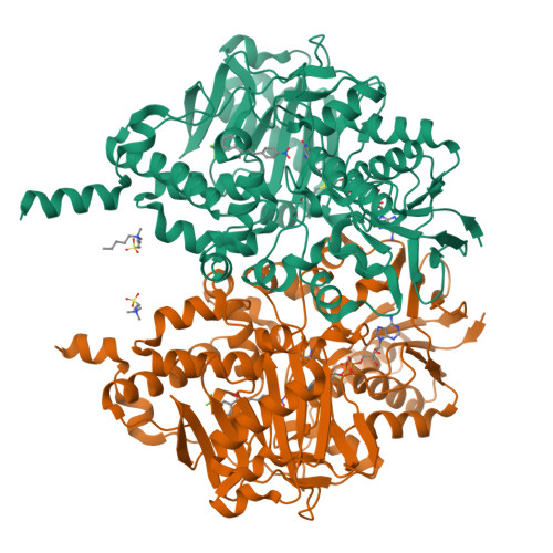 RCSB PDB - 9R2J: Crystal structure of human MAO B in complex with (E)-3 ...