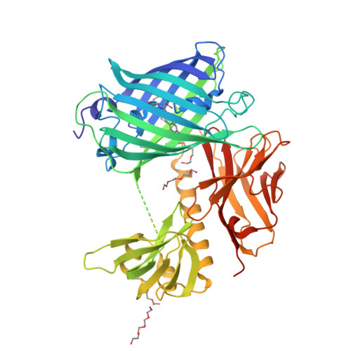 RCSB PDB - 9R6H: Crystal Structure of the M18BP1 SANTA domain as a EGFP ...