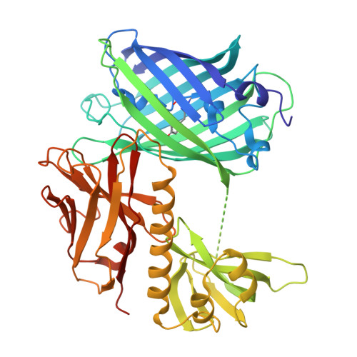 RCSB PDB - 9R6H: Crystal Structure of the M18BP1 SANTA domain as a EGFP ...