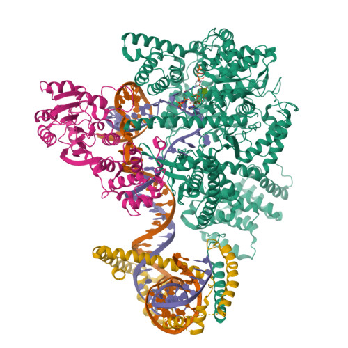 RCSB PDB - 9R96: Cryo-EM structure of the human mitochondrial RNA ...