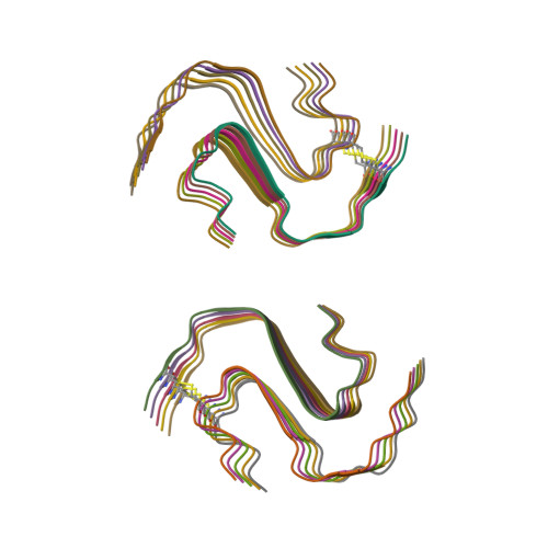 RCSB PDB - 9RBD: Cryo-EM structure of ANP amyloids from left atrial ...