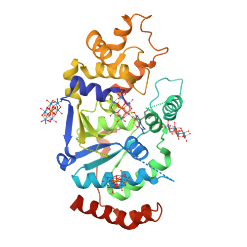 RCSB PDB - 9RDI: Crystal Structure of Flap Endonuclease FEN1 with ...