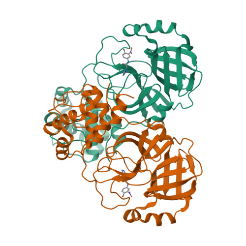 RCSB PDB - 9RHS: Structure of 3CL protease with a bound inhibitor