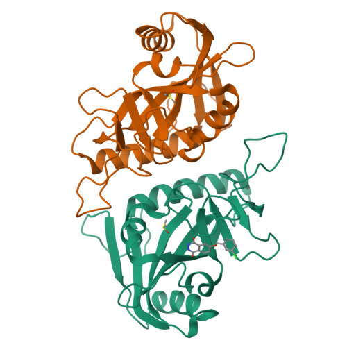 RCSB PDB - 9RLR: PARP15 catalytic domain in complex with OUL499