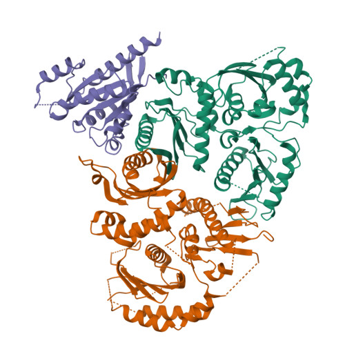 RCSB PDB - 9RS9: Rab23 in complex with Fuzzy-Inturned