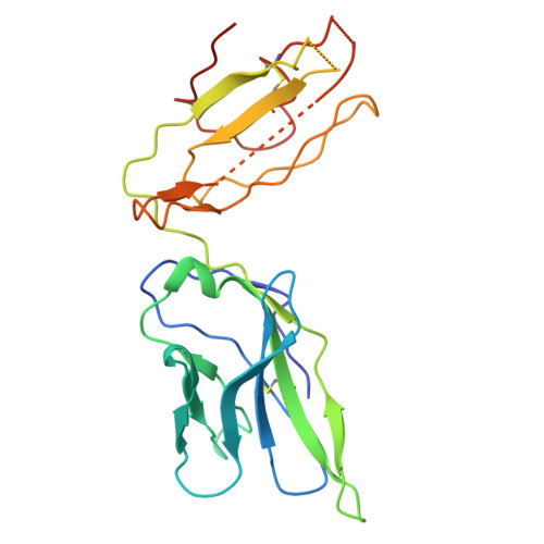 RCSB PDB - 9RU5: Cryo-EM structure of TCRpub/pMHC