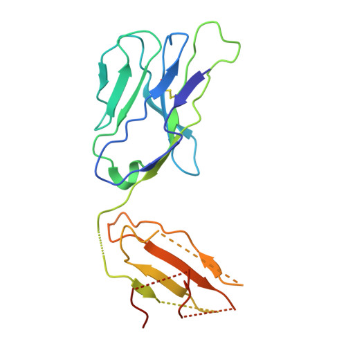 RCSB PDB - 9RXM: Cryo-EM structure of TCRpriv/pMHC