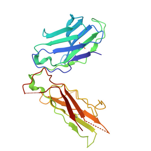 RCSB PDB - 9RXM: Cryo-EM structure of TCRpriv/pMHC