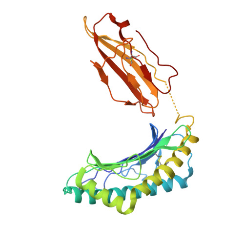 RCSB PDB - 9RXM: Cryo-EM structure of TCRpriv/pMHC
