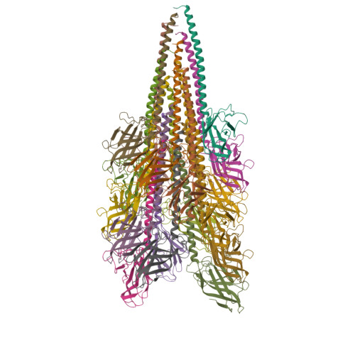 RCSB PDB - 9SIE: Structure of the bacterial archaellum from L. aerophila