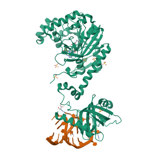 RCSB PDB - 9SLZ: Structure of Thermus thermophilus lysyl-tRNA ...