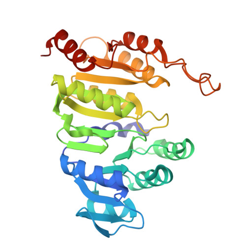 RCSB PDB - 9SWJ: Human ADP-forming succinyl-CoA ligase complex SUCLG1 ...