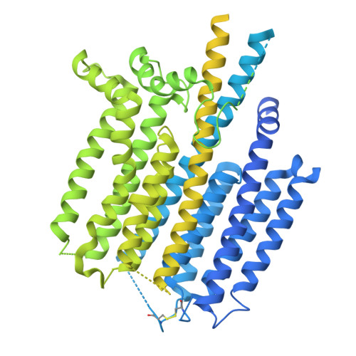 RCSB PDB - 9U3S: Cryo-EM structure of human AC9 (TM domain)