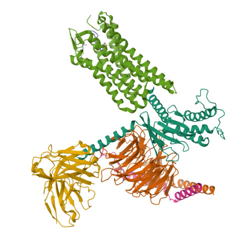 RCSB PDB - 9U4W: cryo-EM structure of pig GnRHR bound with mammal GnRH