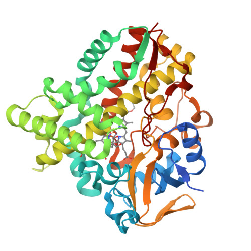 RCSB PDB - 9U53: Crystal structure of the CYP154C2 Q230A from ...