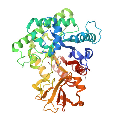 RCSB PDB - 9U7Q: Chitinase ChiA mutant - C61A/C79A