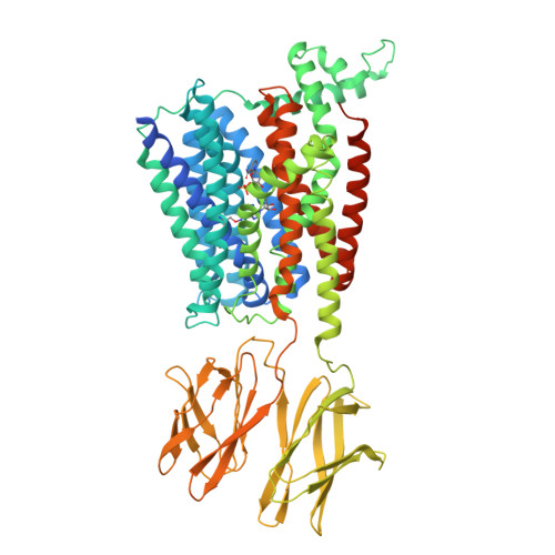 RCSB PDB - 9UDC: Cryo-EM Structure of SLC15A2 with NAD+ (Pose 1)