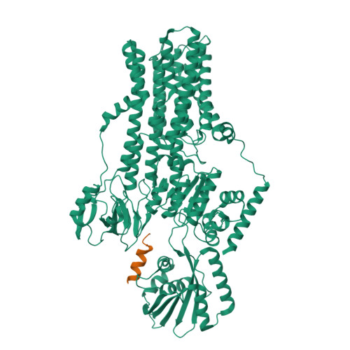 RCSB PDB - 9UGC: Cryo-EM structure of the Pma1 with ordered N-terminal ...