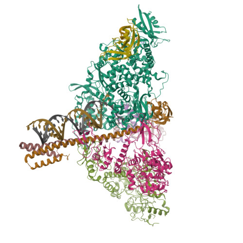 RCSB PDB - 9UHT: SARS-CoV-2 E-RTC in complex with RNA-nsp9 and GMPPNP