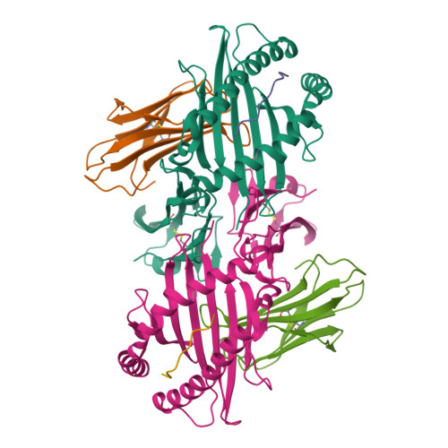 RCSB PDB - 9UL1: Crystal structure of Tibetan wild boar SLA-1*Z0301 for ...