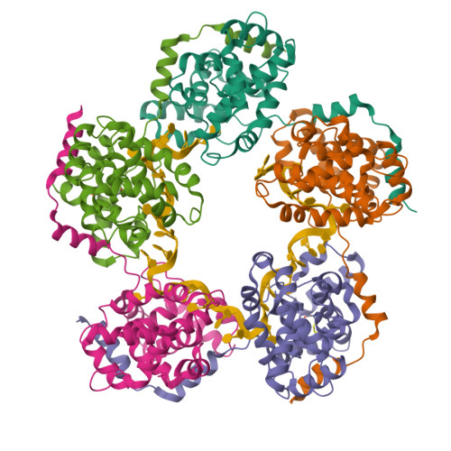 RCSB PDB - 9UMZ: Cryo-EM structure of the SFTSV NP-RNA complex
