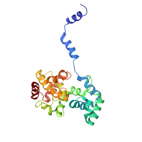 RCSB PDB - 9UMZ: Cryo-EM structure of the SFTSV NP-RNA complex