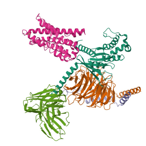 RCSB PDB - 9UST: MRGPRE-Gq-scFv16-complex