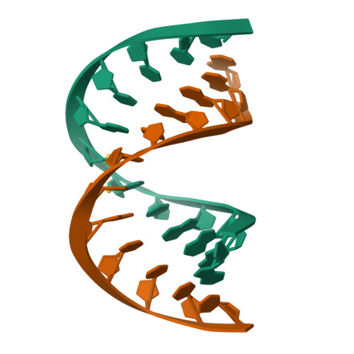 RCSB PDB - 9UYT: DNA duplex containing gold-mediated 2-thio-cytosine ...