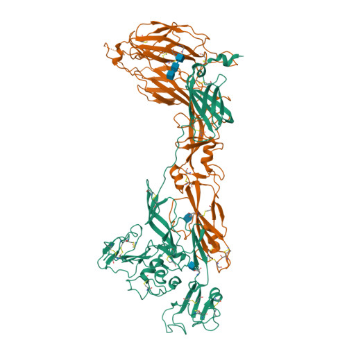 RCSB PDB - 9V6N: Block based reconstruction of RVFV GnGc-Fab140 complex
