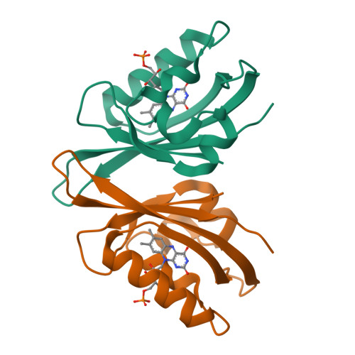 RCSB PDB - 9VF8: Structure of Meiothermus ruber Mrub_1259 LOV domain ...