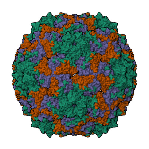 RCSB PDB - 9VFP: Structure of CVA6 empty particle