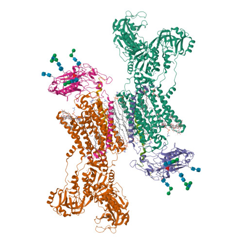 RCSB PDB - 9VIZ: Cryo-EM structure of palytoxin-bound Na+,K+-ATPase in ...