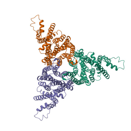 RCSB PDB - 9VSA: Structure of the wild-type CAX1 in Arabidopsis ...