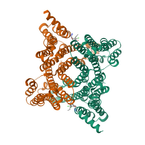 RCSB PDB - 9VSP: The DCY1020-bound structure of TMEM175