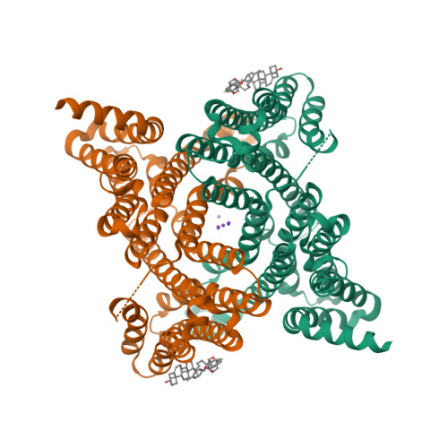 RCSB PDB - 9VSQ: The TUG-891-bound structure of TMEM175