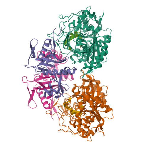 RCSB PDB - 9VX1: The cryo-EM structure of gRNA-bound SPARDA complex