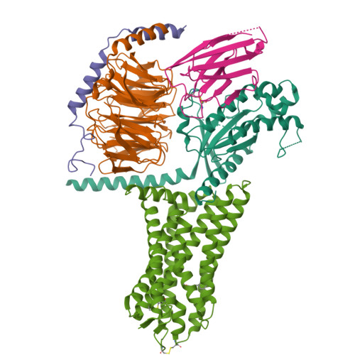 RCSB PDB - 9W45: The structure of odorant-bound mouse class II odorant ...