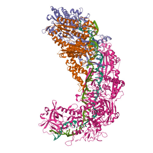 RCSB PDB - 9WXJ: Cryo-EM structure of the type III-D2 CRISPR-Cas ...