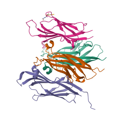 RCSB PDB - 9X8U: Crystal structure of the human GAS41 YEATS domain in ...