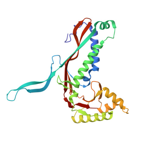 RCSB PDB - 9Y8P: Cryo-EM structure of Thermotoga maritima encapsulin shell