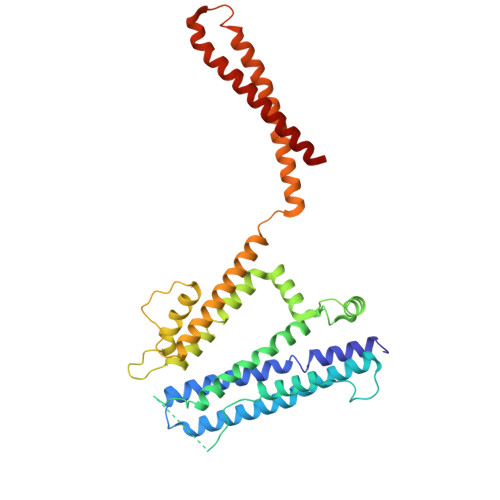 RCSB PDB - 9ZRL: Cryo-EM structure of KCa3.1_II/calmodulin channel in ...