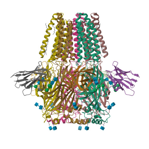 RCSB PDB - 7A5V: CryoEM structure of a human gamma-aminobutyric acid ...