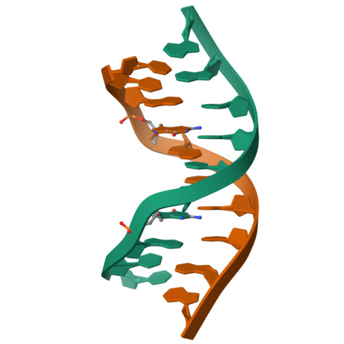 PDB 1AC9 | Chain SOLUTION STRUCTURE OF A DNA DECAMER CONTAINING THE ...