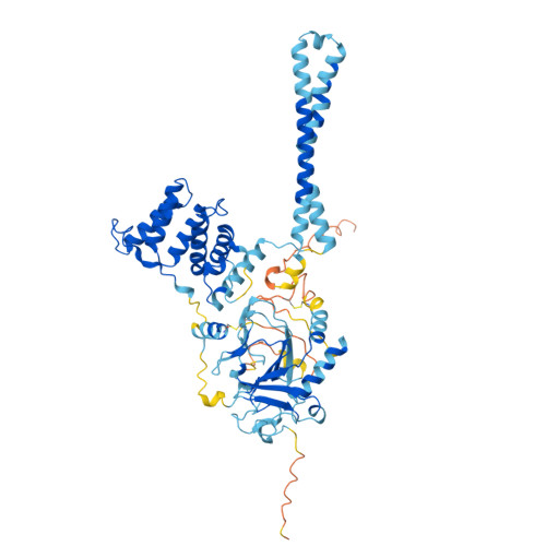 RCSB PDB - AF_AFA0A044RGZ3F1: Computed structure model of Procollagen ...